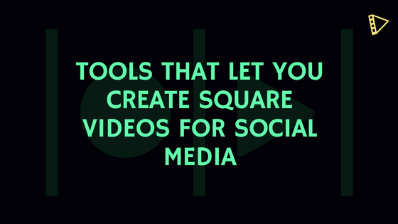 Tools that let you Create Square Videos for Social Media - Typito